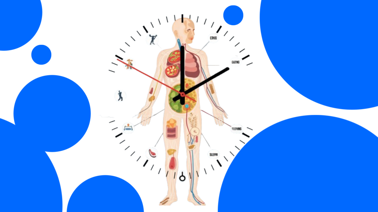 Biological Clock: Understanding and Optimizing Your Body's Natural ...